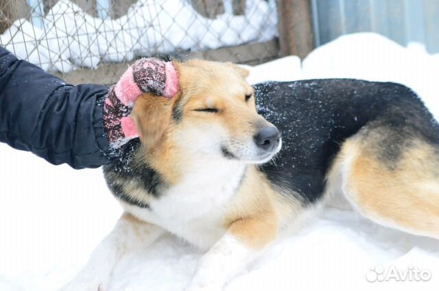 Жизнерадостная Саманта