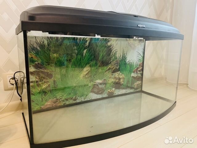 Аквариум Aquael Акваэль 102 л