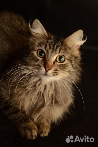 Фишка 9 мес (девочка)