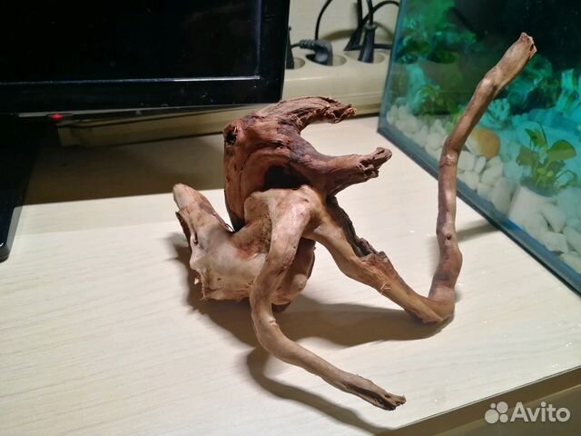 Коряга для аквариума или для птиц