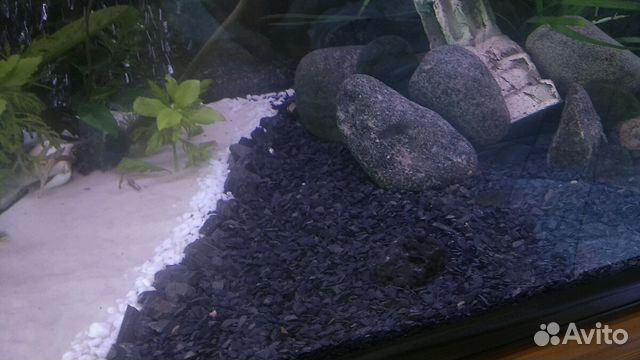 Шунгит очищенный,грунт для аквариума,очистка воды