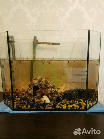 Аквариум