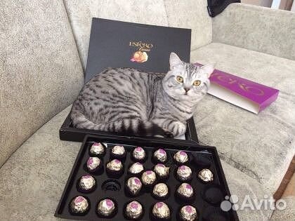 Котик для вязки