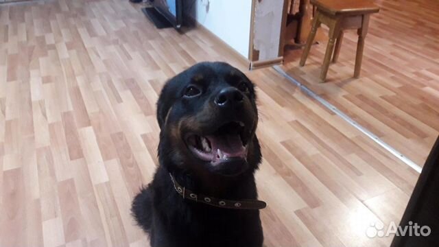 Девочка 9 мес