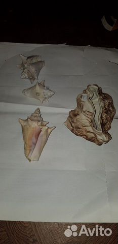 Аквариумы, ракушки, грунт, камни