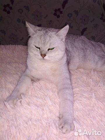 Вязка