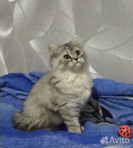 Ласковая девочка