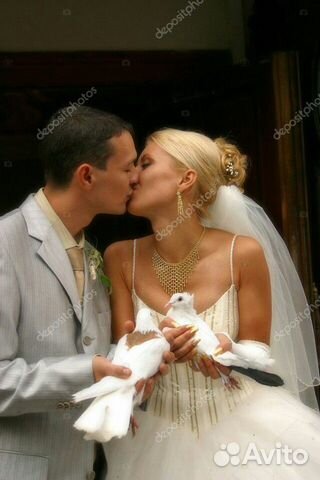 Голуби на свадьбу, праздник, дни рождения, голуби