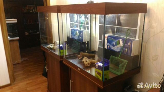 Аквариумы и аквариумный грунт