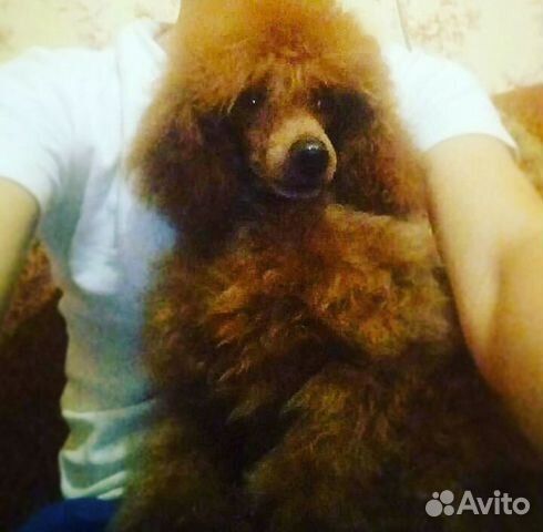 Приходите на вязку