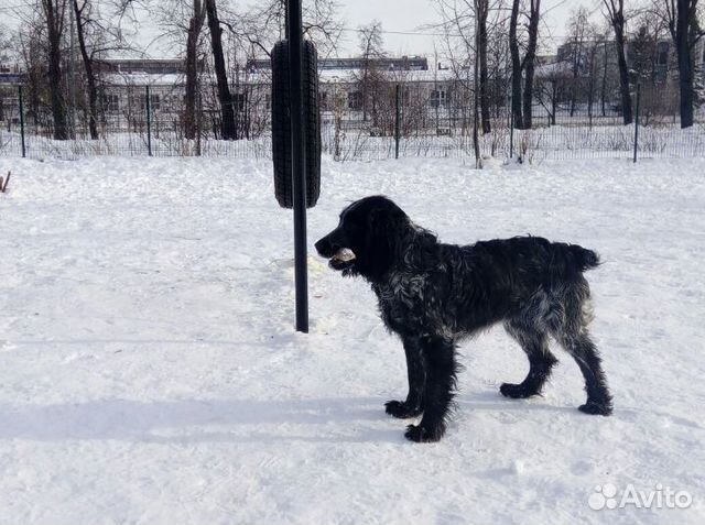Вязка