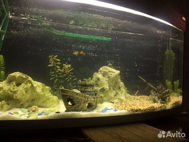 Аквариум AquaPlus 200л