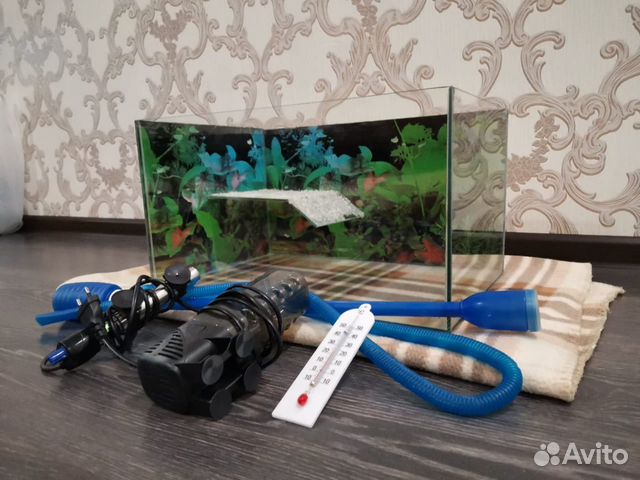 Аквариум для черепахи