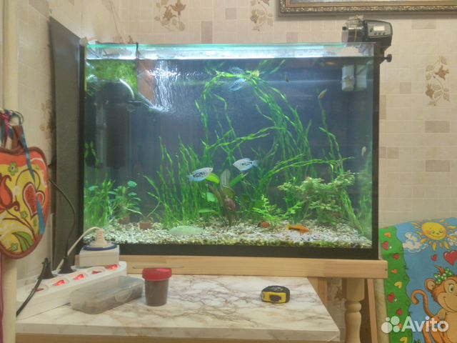 Аквариум 72 л