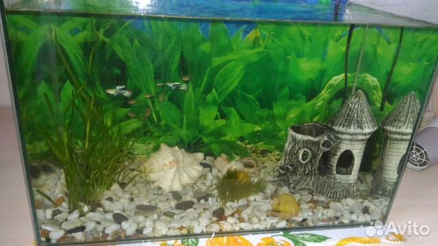 Аквариум 30л