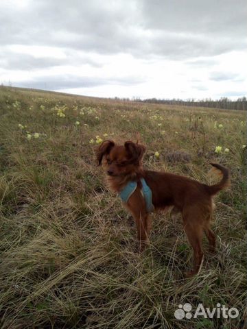 Брутальный мальчишка