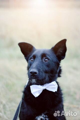 Малыш ищет своих родителей