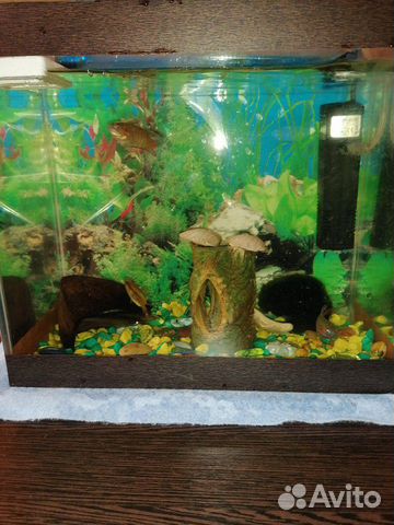 Аквариум
