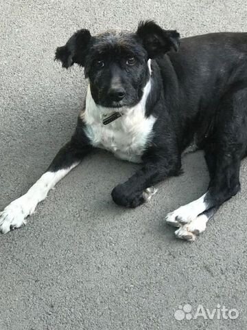 Малышка в поисках семьи