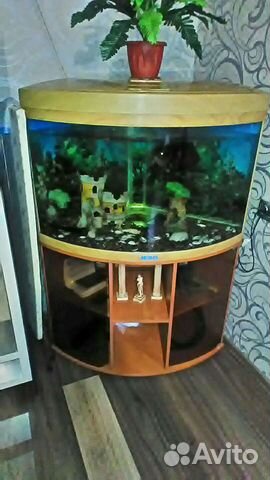 Продам аквариум угловой интеръерный на 300 л.Рыбки