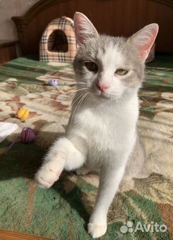 Жертва алкоголика