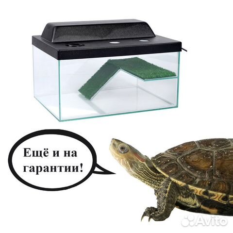 Террариумы, черепашатники и креветкариумы