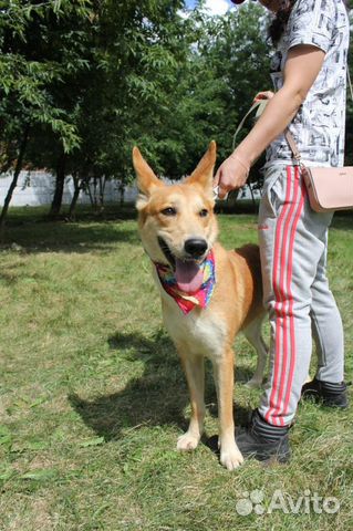 Лесли само очарование