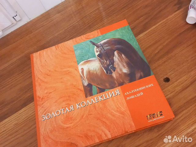 Золотая коллекция ахалтекинских лошадей