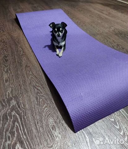 Отдам в добрые, ответственные,заботливые руки