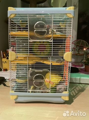 Хомяки вместе с клеткой