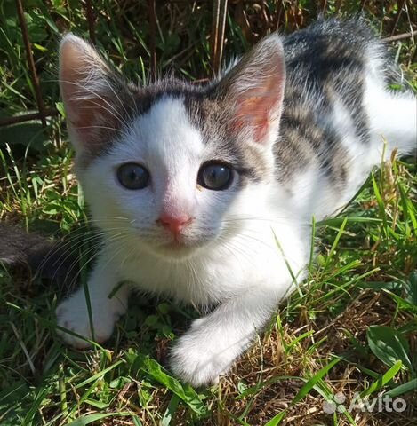 Трогательная малышка в поисках счастья