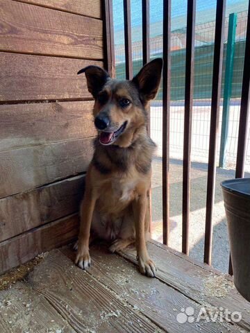 Люди причиняли боль