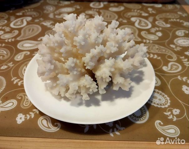 Натуральный коралл