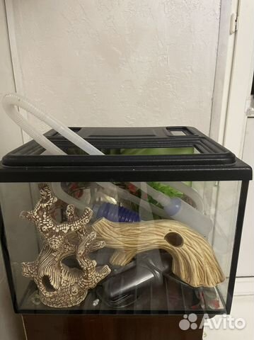 Аквариум для аксолотля
