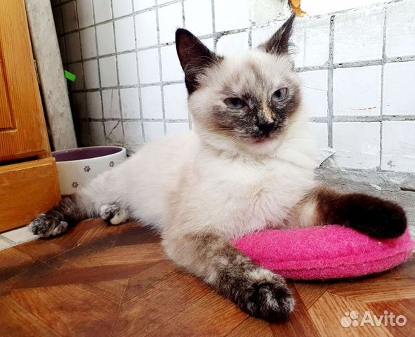 Тайская Карри Карина