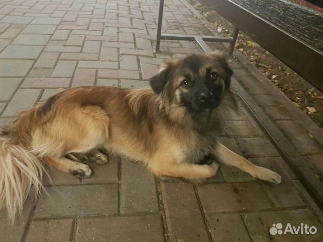 Мальчик по имени Марсик 1год