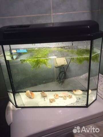 Аквариум