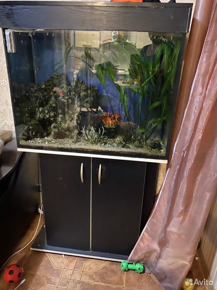 Аквариум