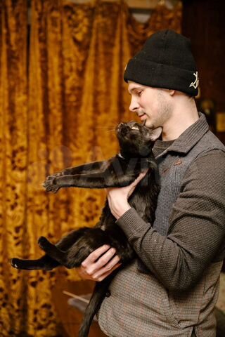 Черная кошка пантерка