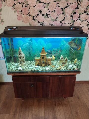 Аквариум 200л