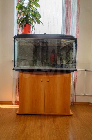Аквариум 150 л с тумбой и оборудованием